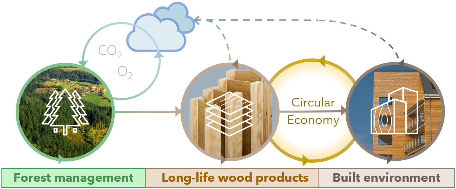 Wood Policy and Innovation Conference - wood4bauhaus